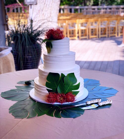 Wedding Cake Gallery - Moonlight Cakes